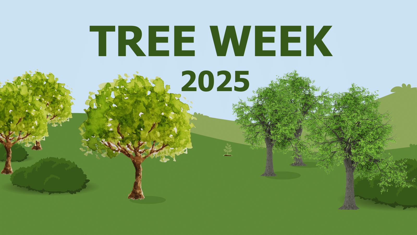 Join us for Tree Week 2025 | Green-Schools