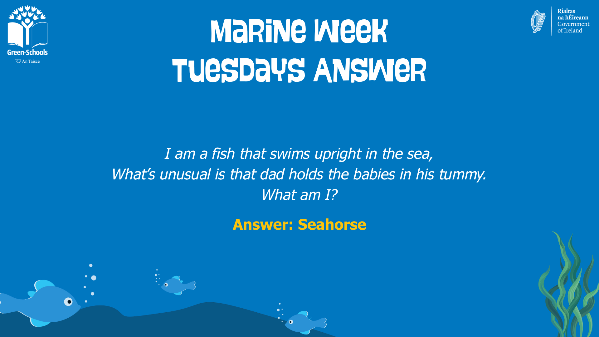 Welcome to Marine Week 2026 | Green-Schools